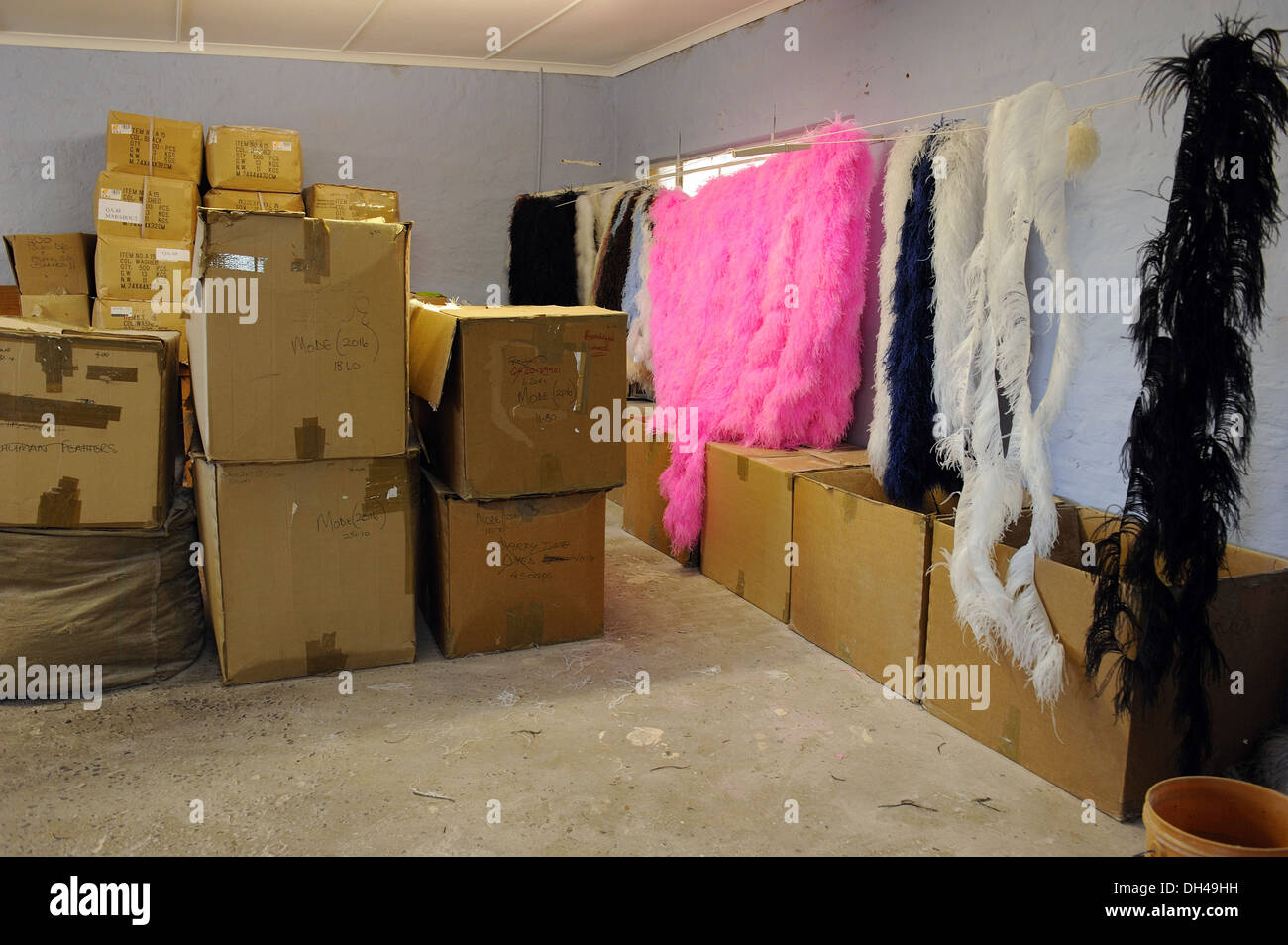 Ostrich feather factory south africa Stock Photo - Alamy