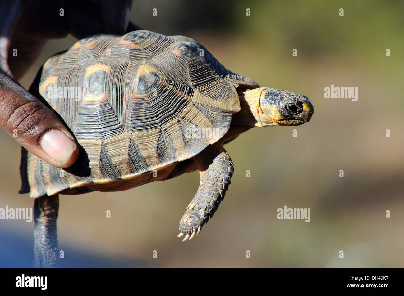 182262 hi-res stock photography and images - Alamy