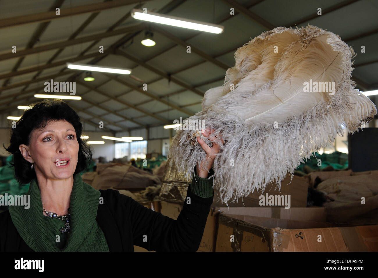 woman holding ostrich feather in Ostrich feather factory south africa ...