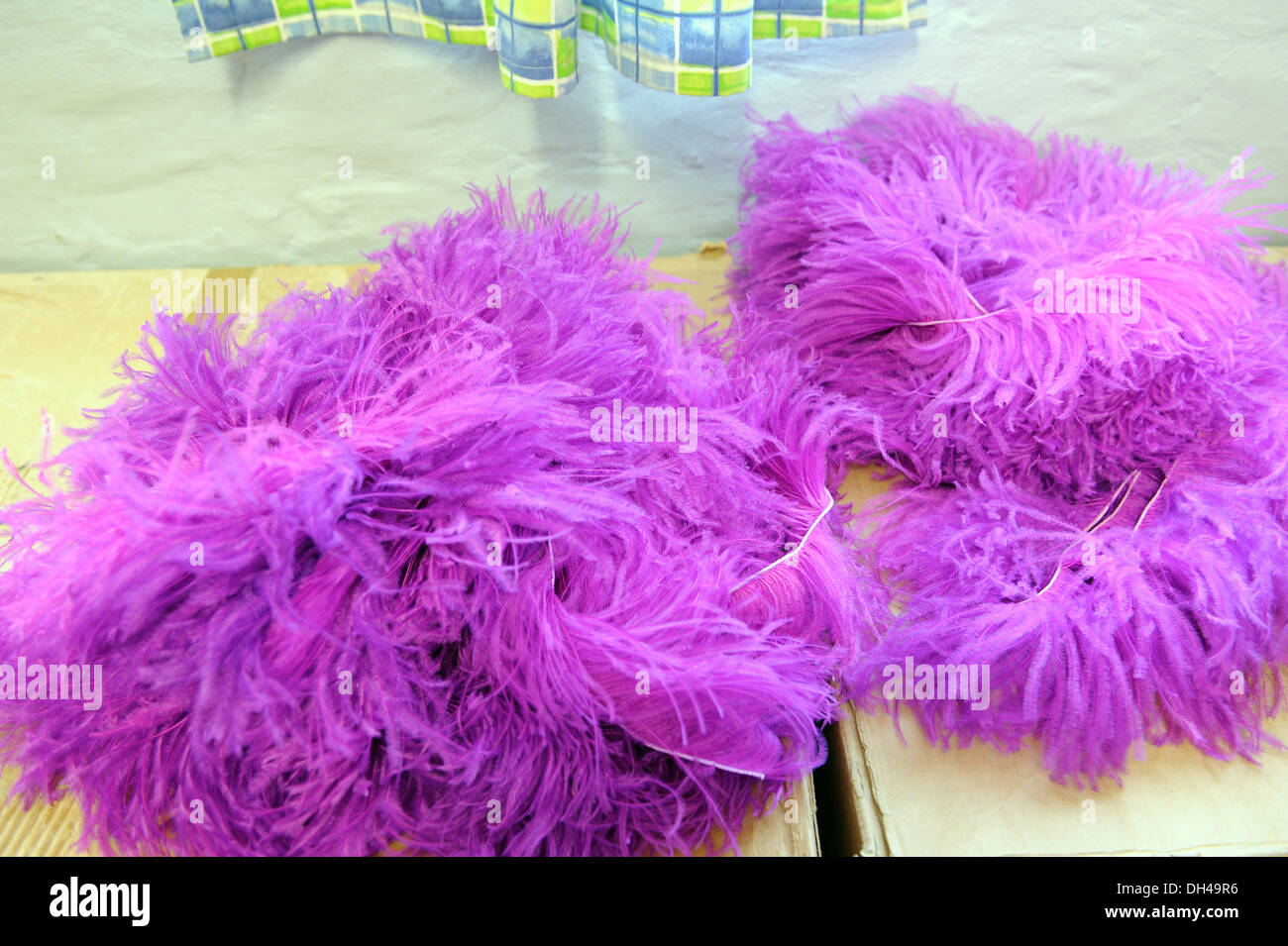 Ostrich feather hi-res stock photography and images - Alamy