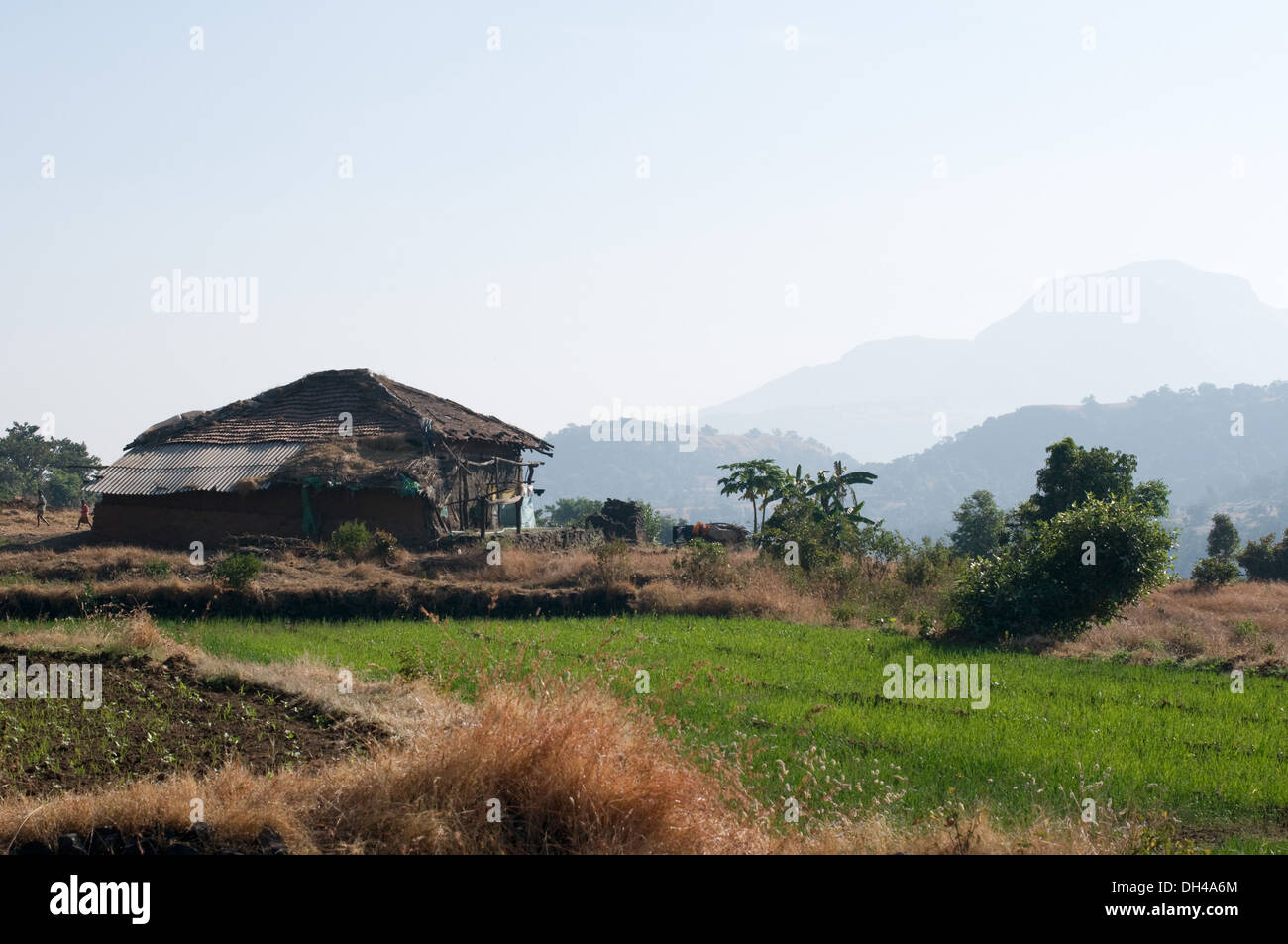 Landscape with hut fields mountains Bhandardara Shendi Maharashtra ...