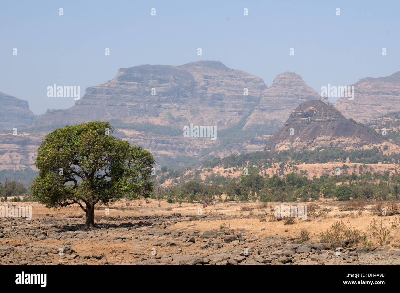 Bhandardara maharashtra hi-res stock photography and images - Alamy