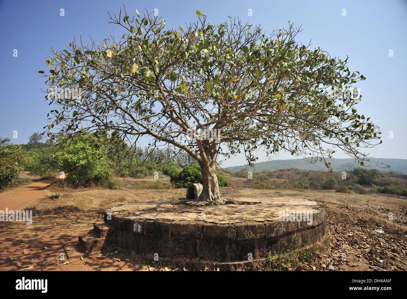 Chabutra hi-res stock photography and images - Alamy