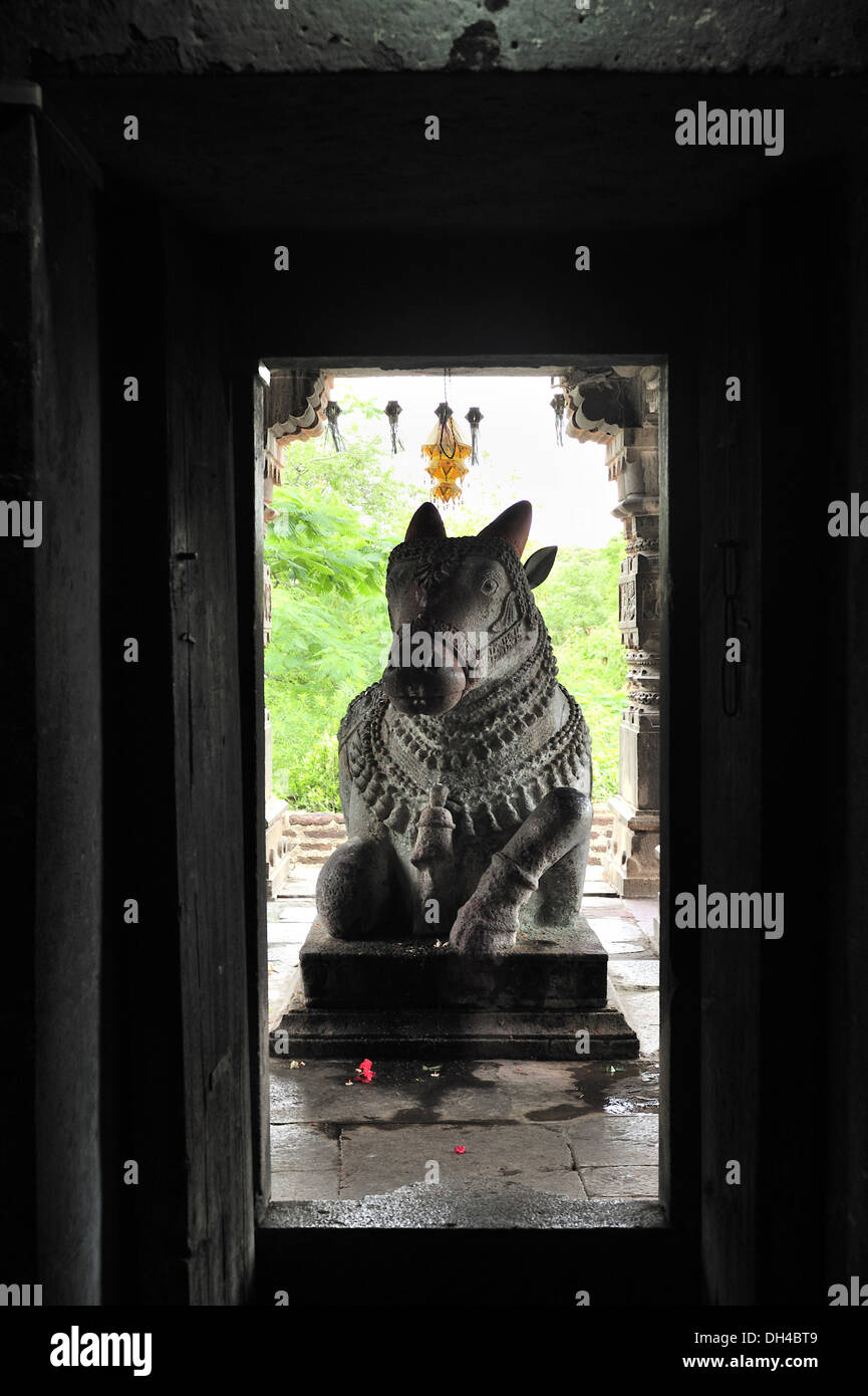 nandi bull at changa vateshwar temple saswad purandar maharashtra India ...