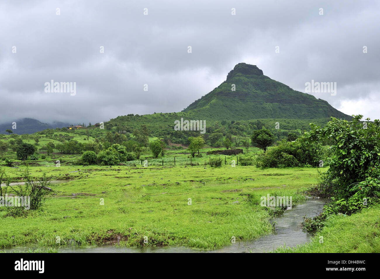 Tikona fort western ghats maharashtra india Asia Stock Photo - Alamy