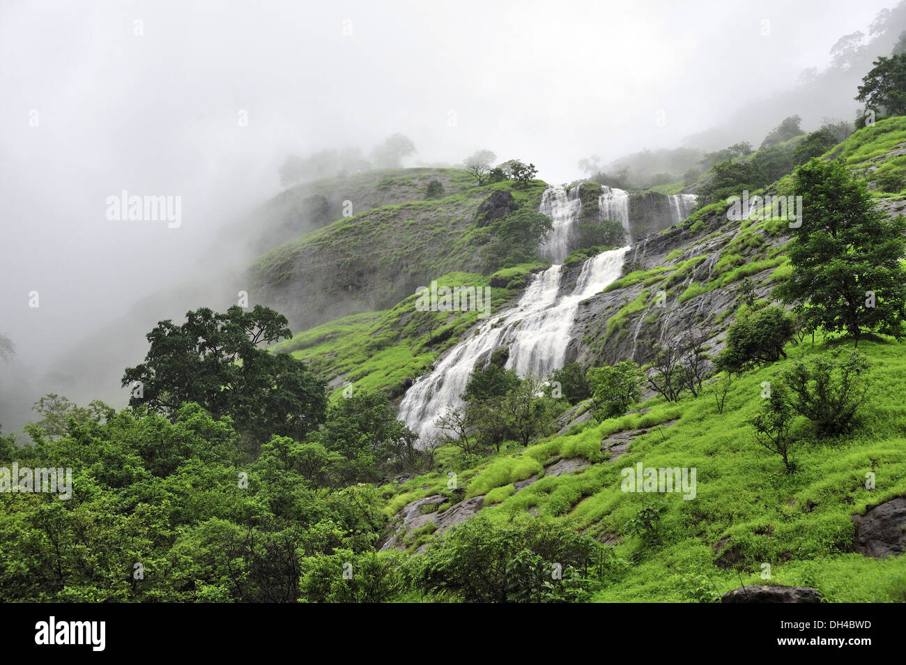 Western Ghats Waterfalls