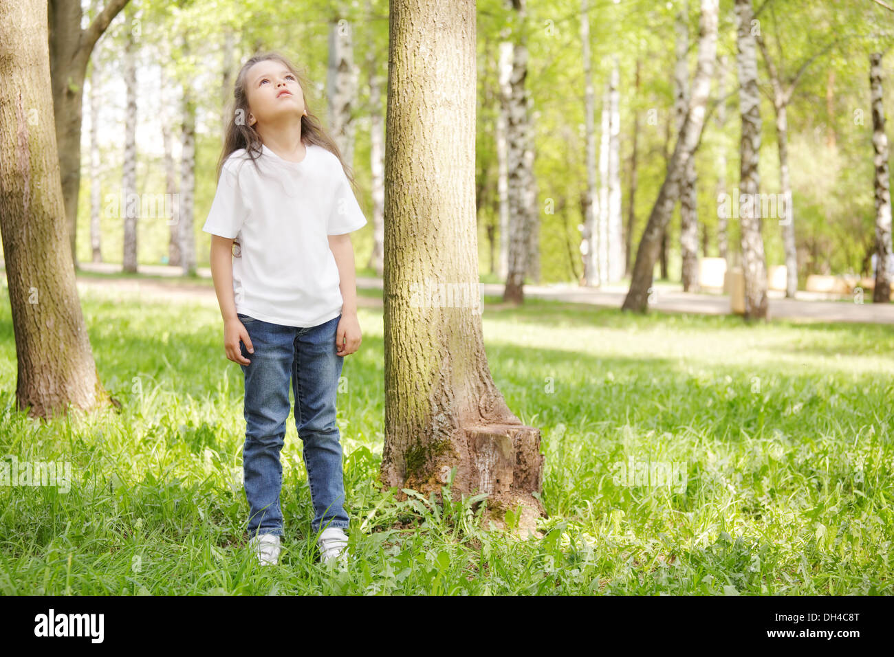 Girl at tree looking up Stock Photo - Alamy