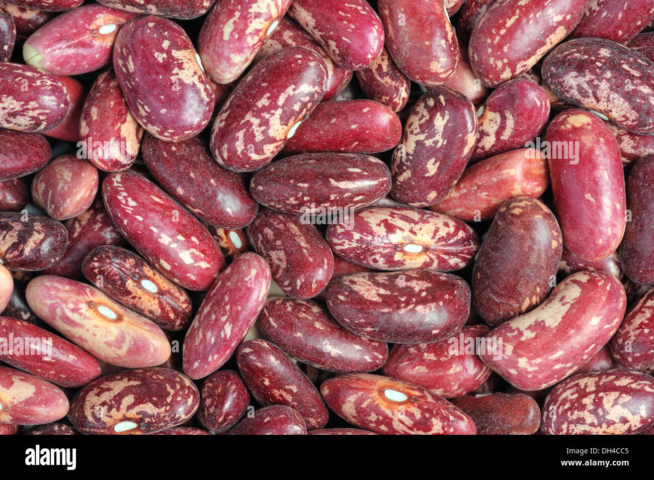 Spotted beans hi-res stock photography and images - Alamy