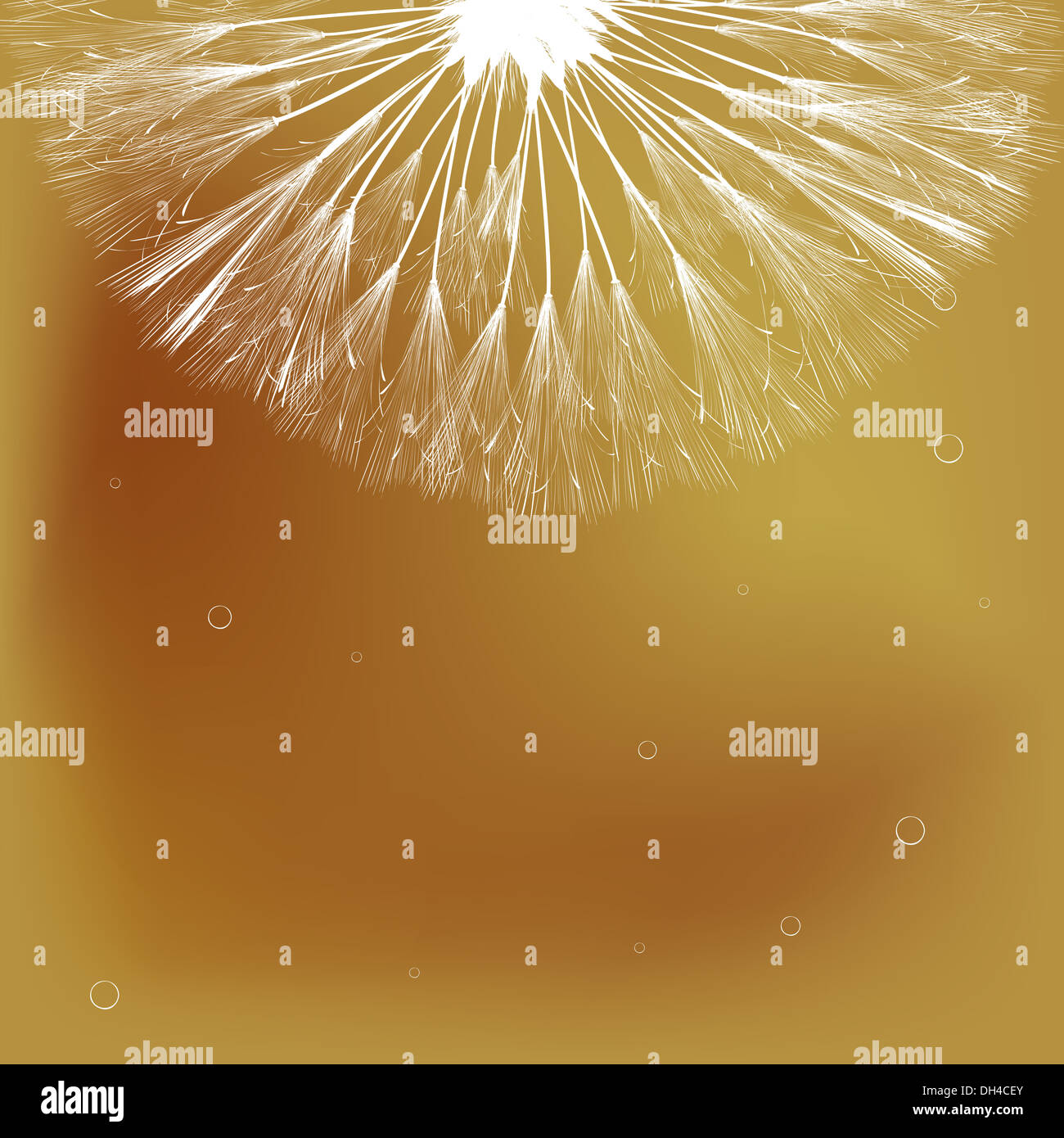 Delicate fragile digital image hi-res stock photography and images - Alamy