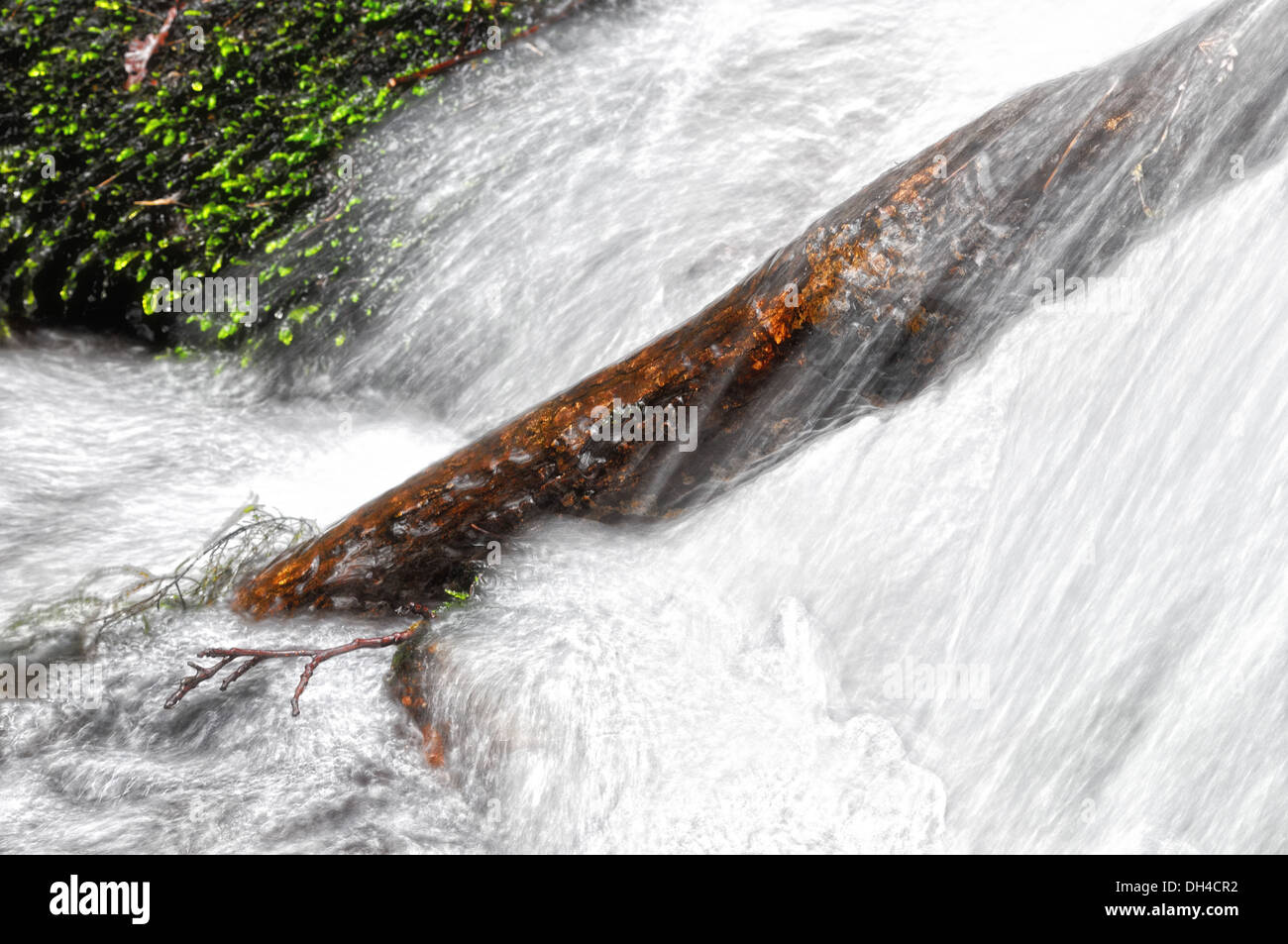 Log in the water Stock Photo - Alamy