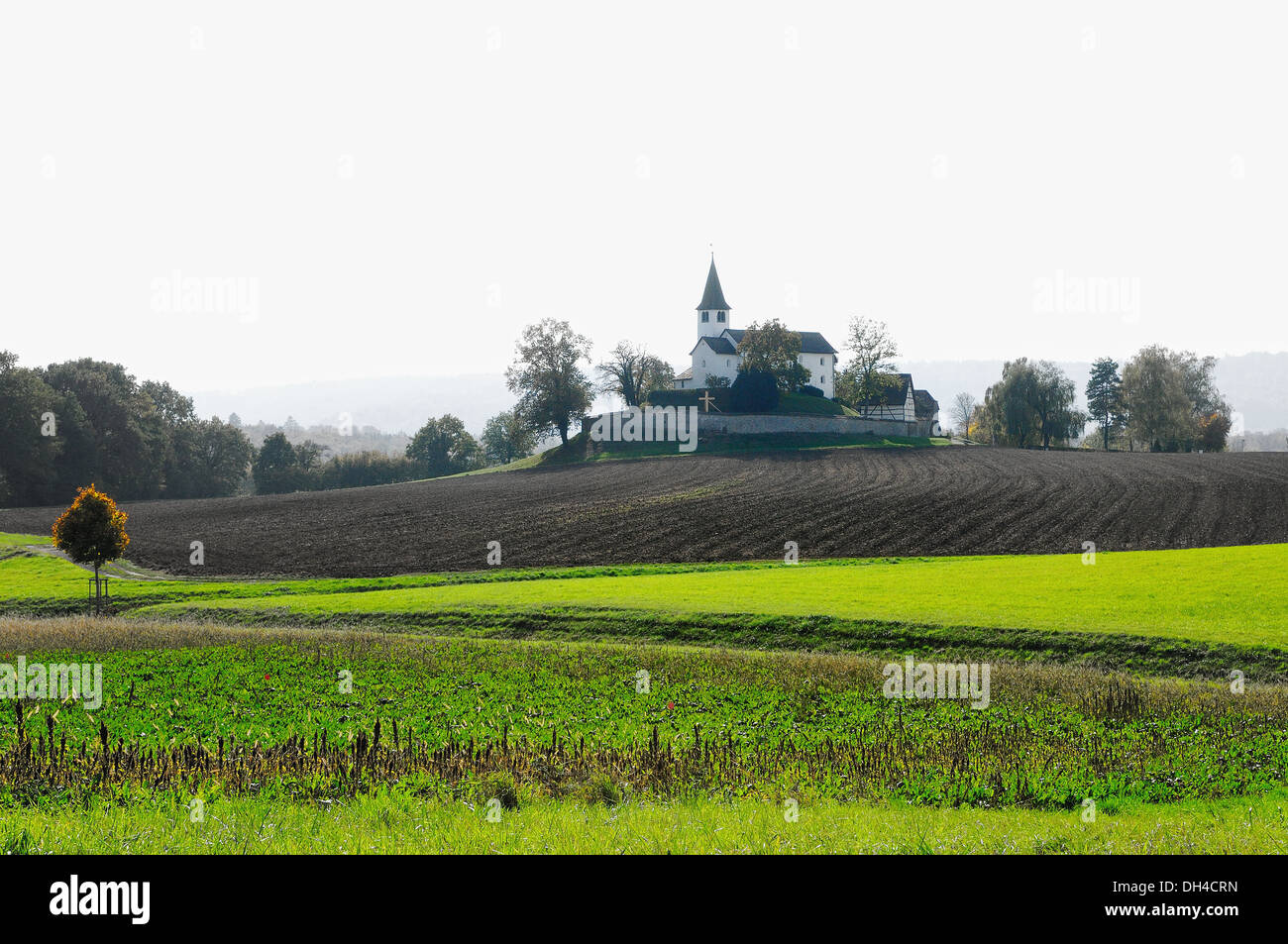 Büsingen germany hi-res stock photography and images - Alamy