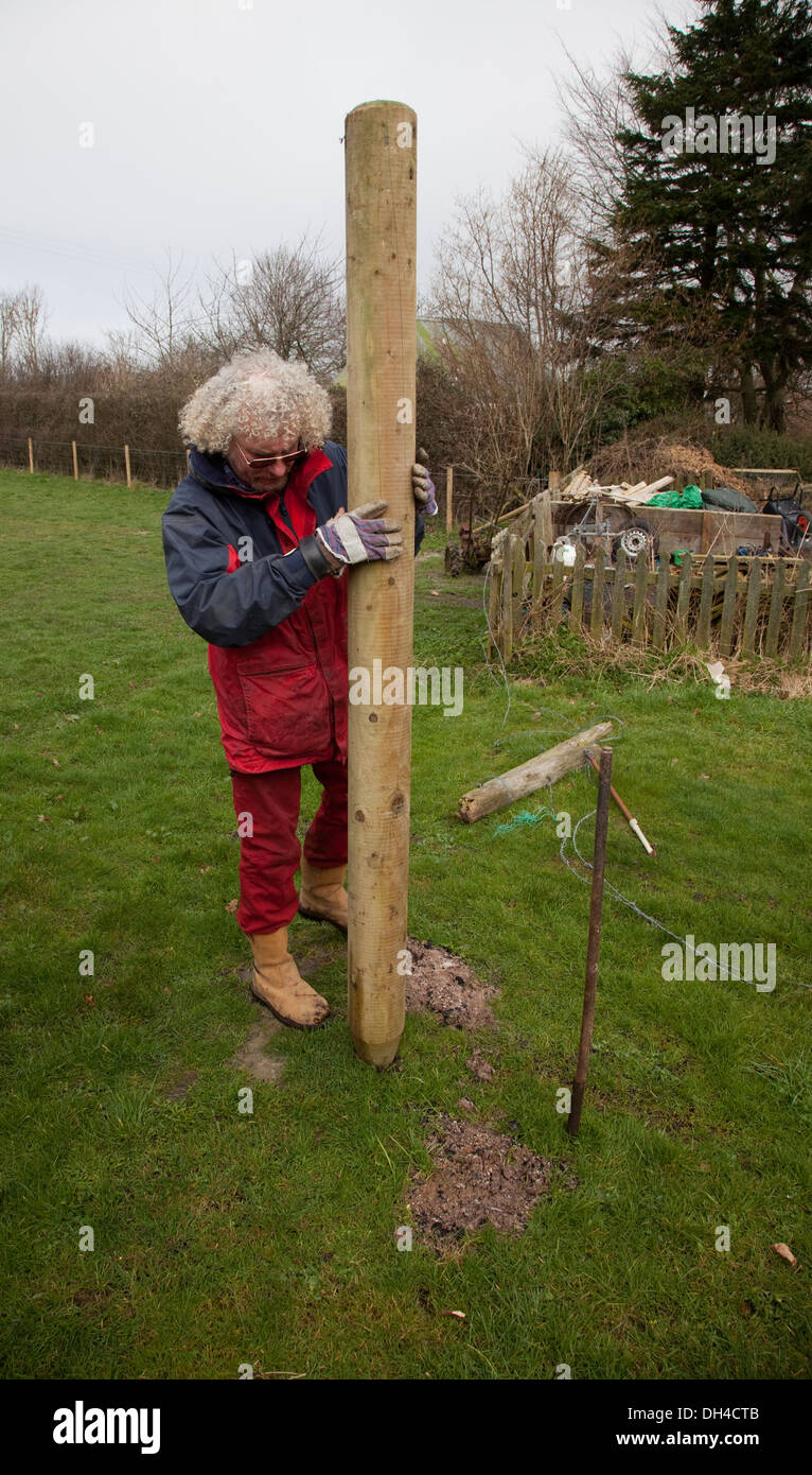 Post Puncher attachement in action UK Stock Photo - Alamy