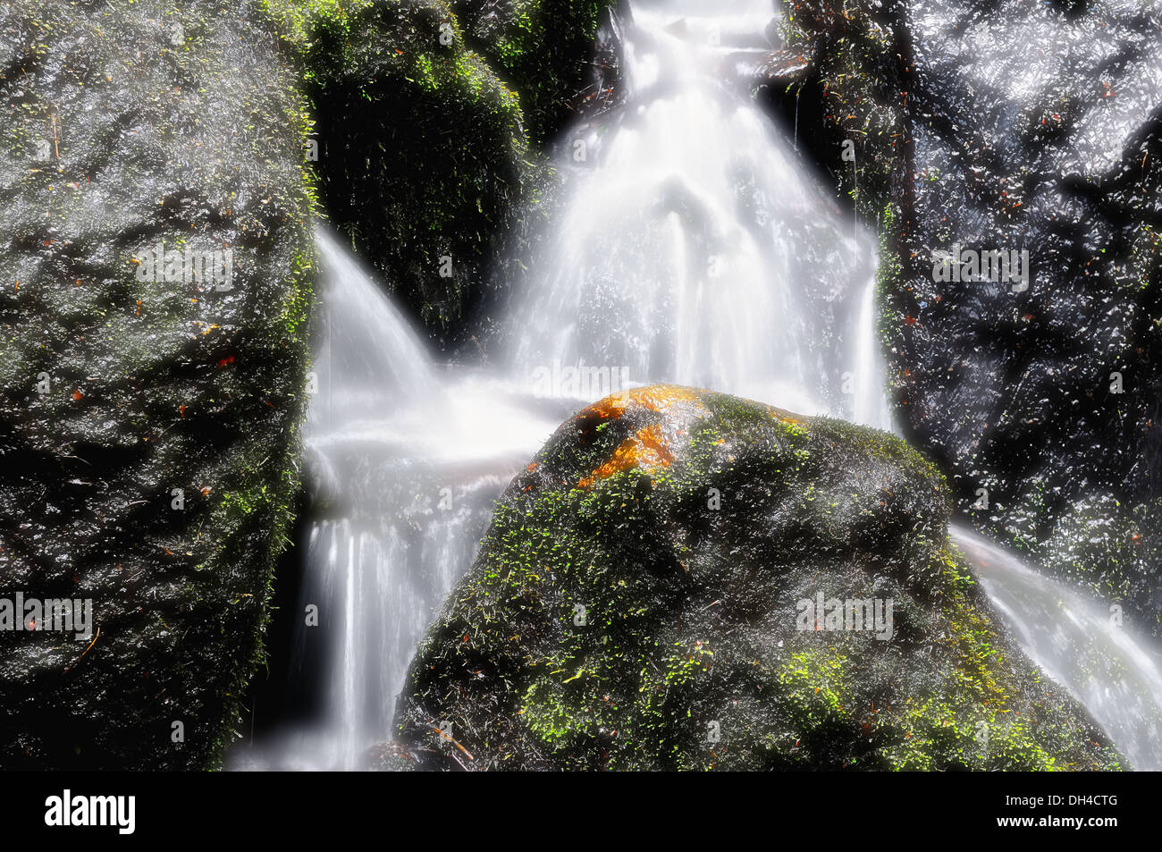Little falls stream valley hi-res stock photography and images - Alamy
