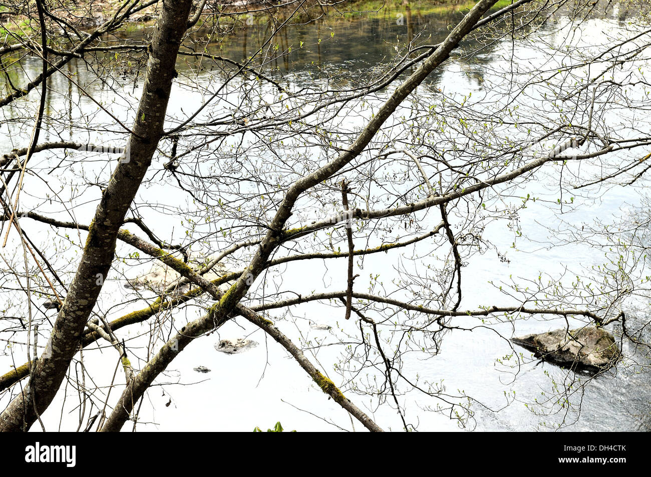 Murg valley black forest hi-res stock photography and images - Alamy