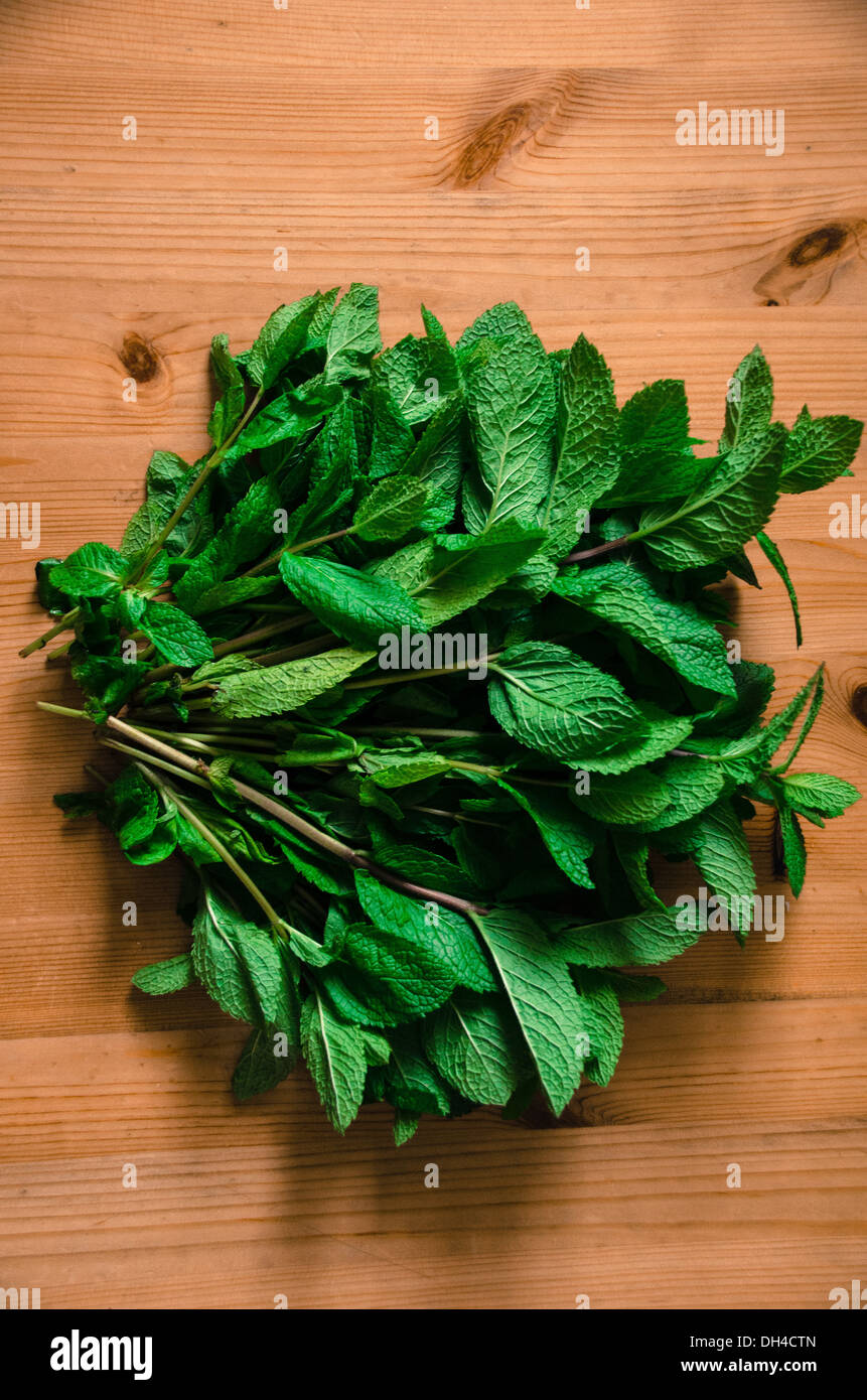 Bunch of mint leaves hi-res stock photography and images - Alamy