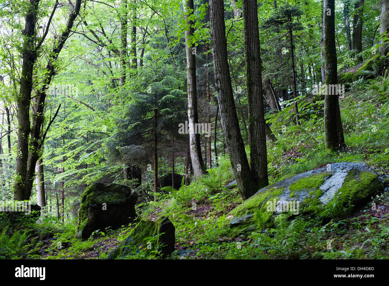 Premia hi-res stock photography and images - Alamy