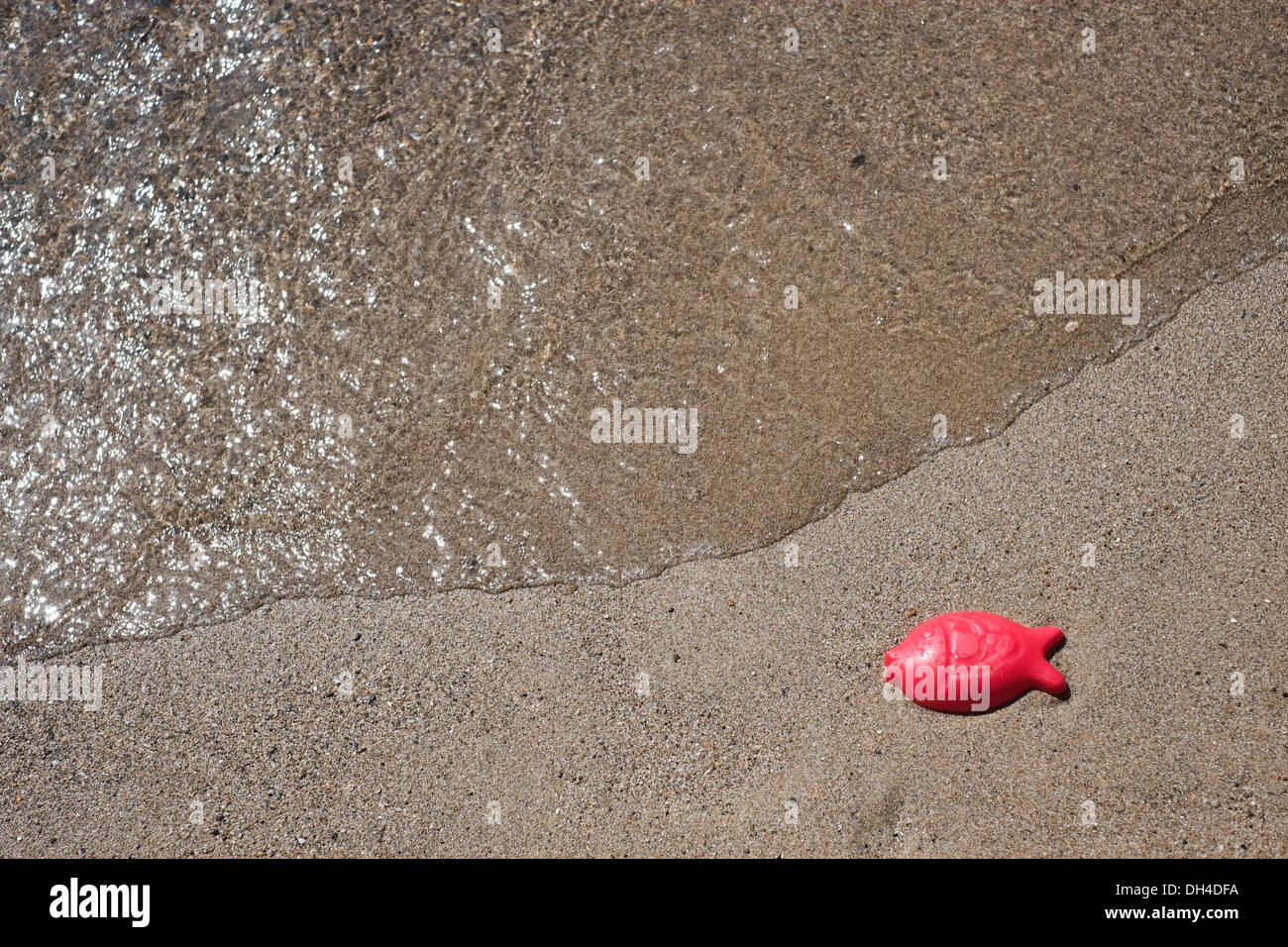 Close up on seaside in hi-res stock photography and images - Alamy
