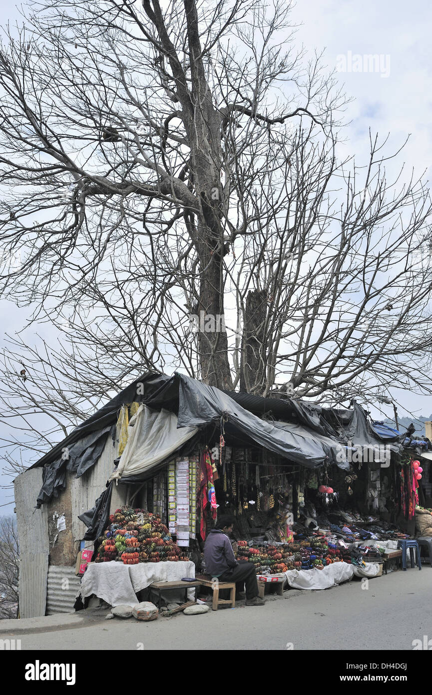 Leafless tree and shop on road almoda uttarakhand India Asia Stock ...