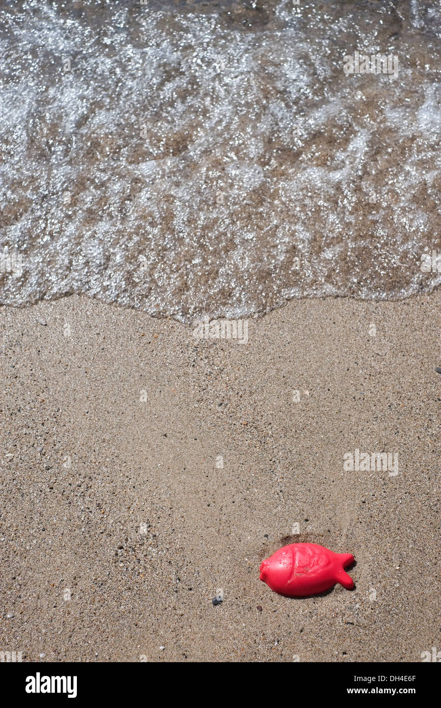Fish on beach High Resolution Stock Photography and Images - Alamy