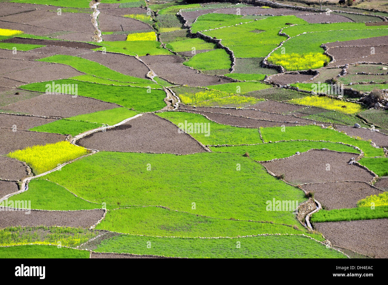 Bageshwar uttarakhand india hi-res stock photography and images - Alamy