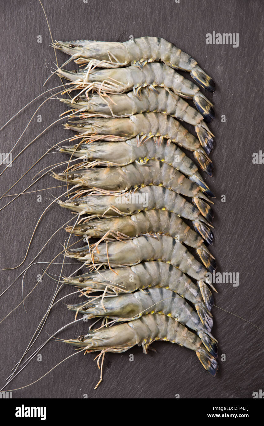 Tiger prawns hi-res stock photography and images - Alamy