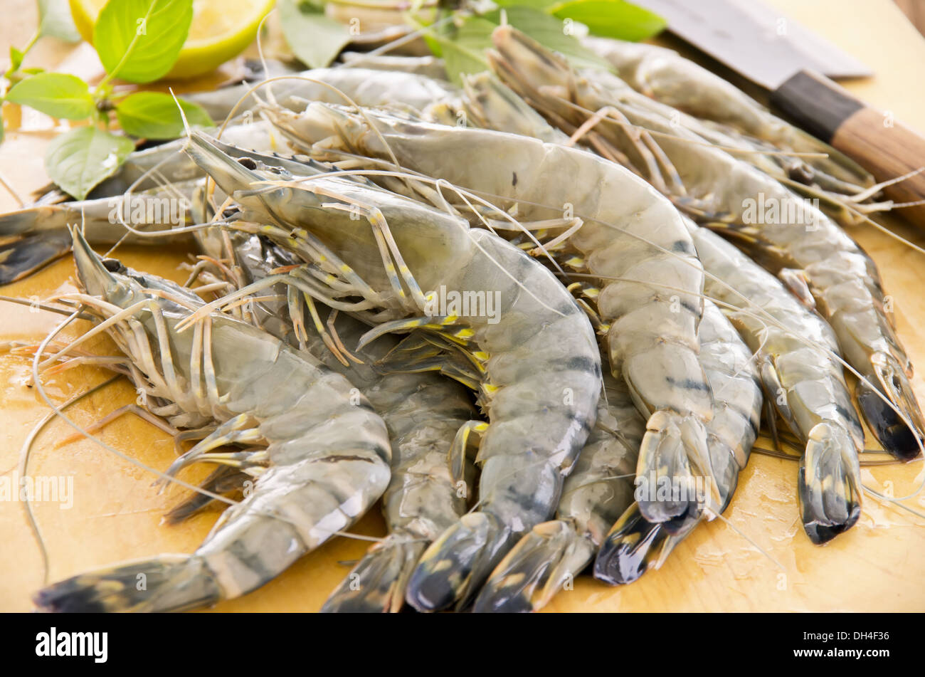 black tiger prawns Stock Photo - Alamy