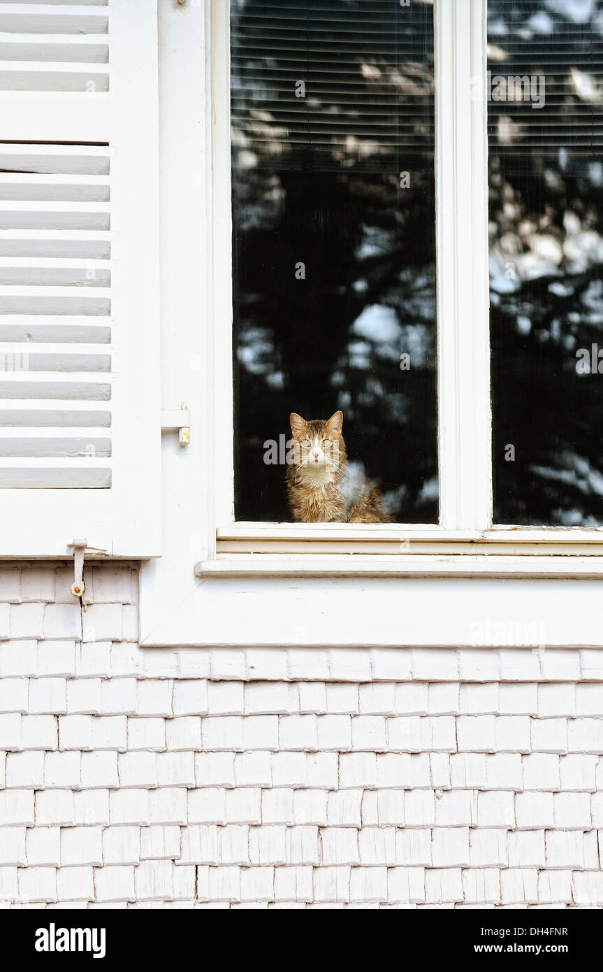 Windowpane shutter hi-res stock photography and images - Alamy