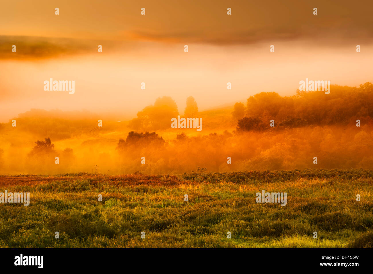 Autumn mist at dawn over the North York Moors National Park near the ...