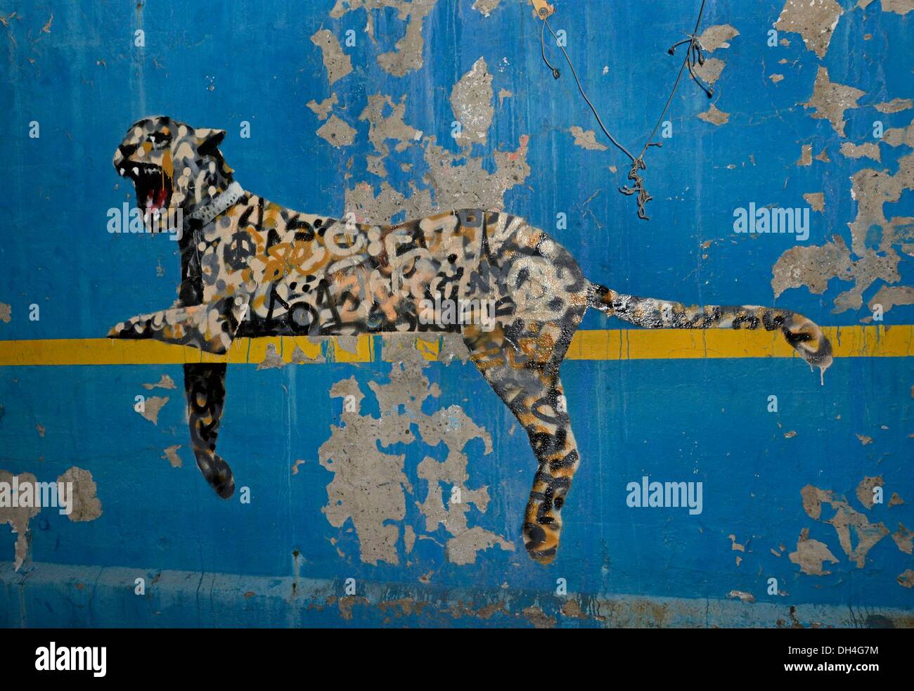 Zoo stadium hi-res stock photography and images - Alamy