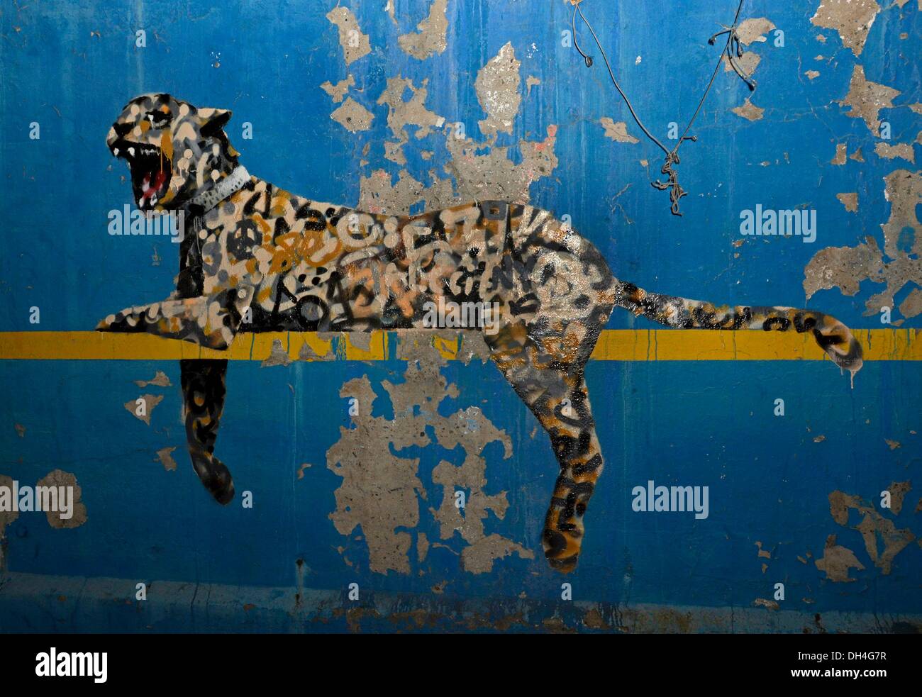 Zoo stadium hi-res stock photography and images - Alamy