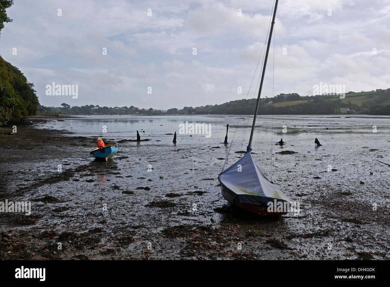 Boats in estuary near Devoran, Cornwall, England, UK Stock Photo - Alamy