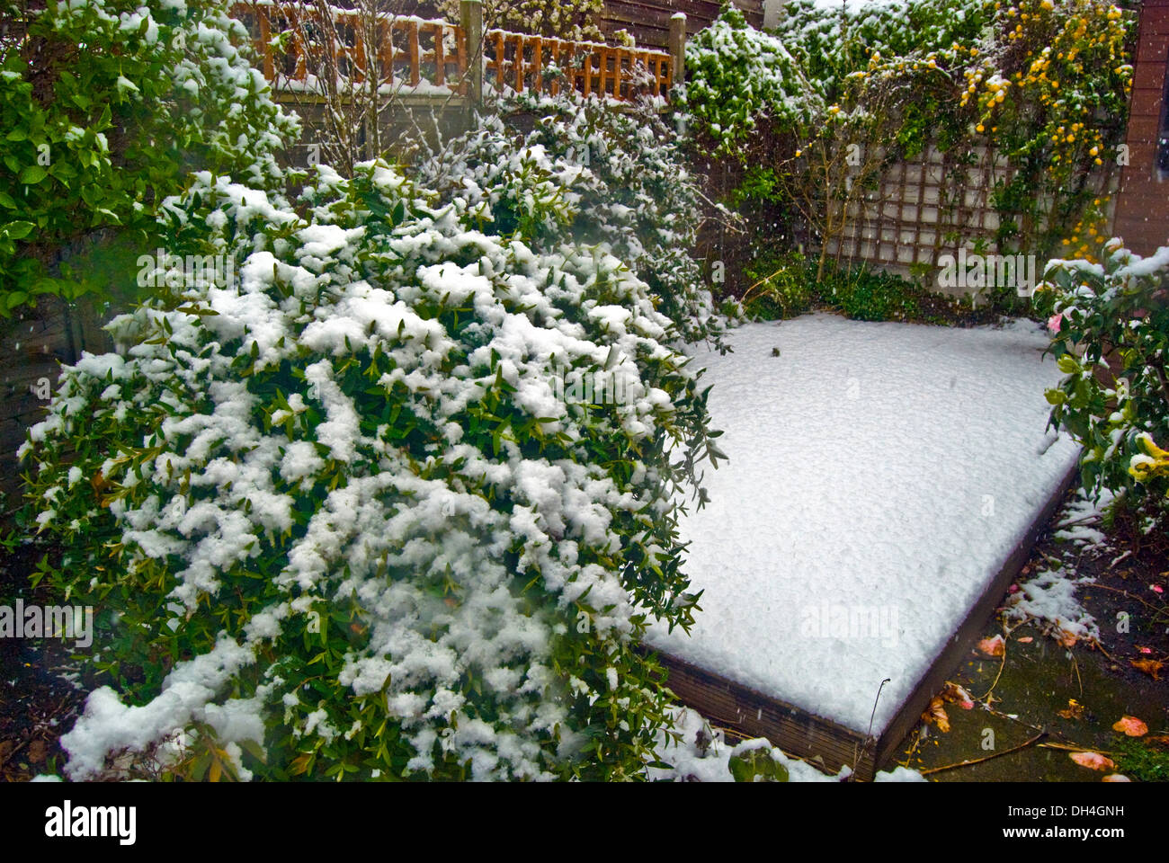 Snow on garden hi-res stock photography and images - Alamy