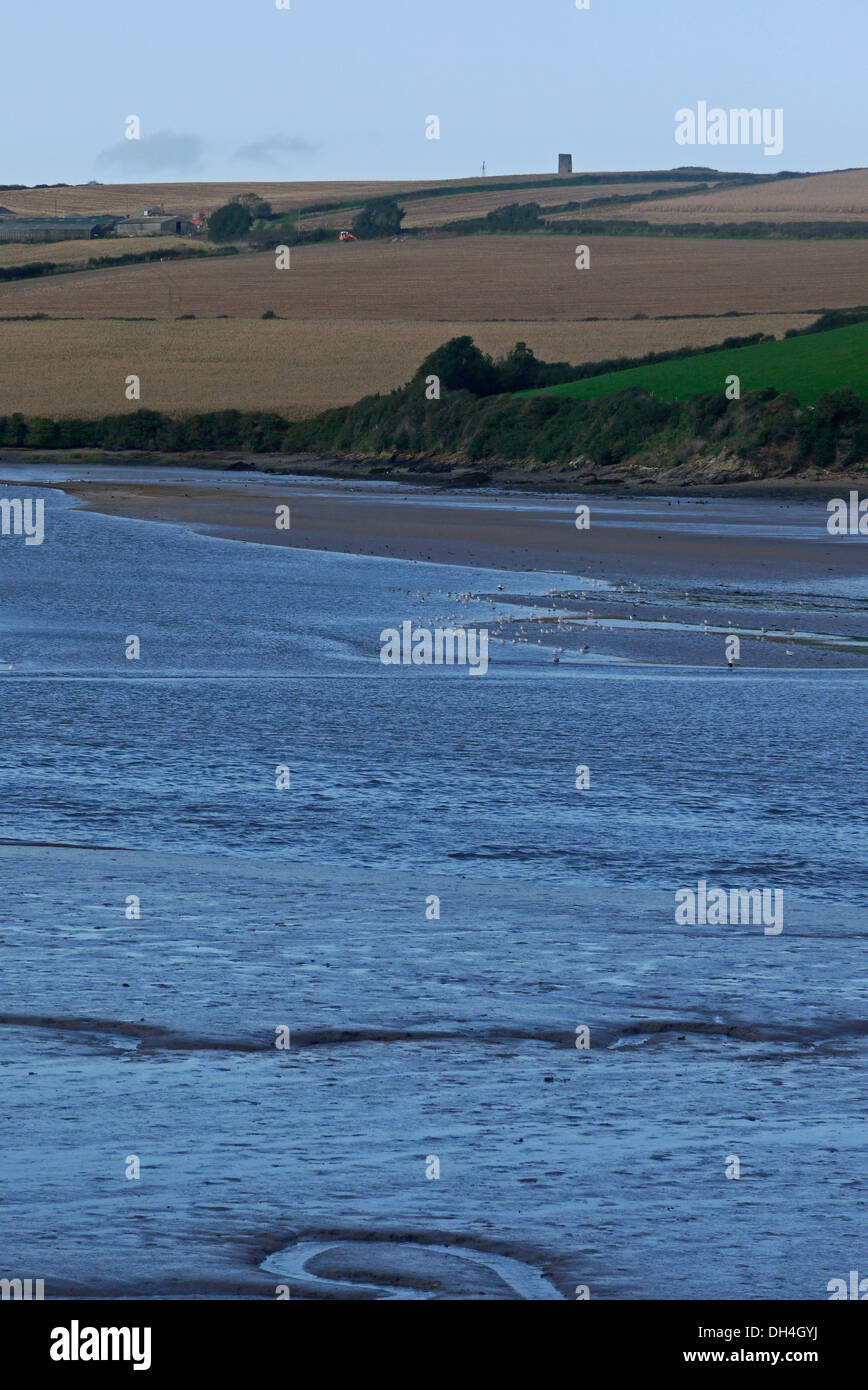 Camel estuary towards Padstow Cornwall, England, UK Stock Photo - Alamy