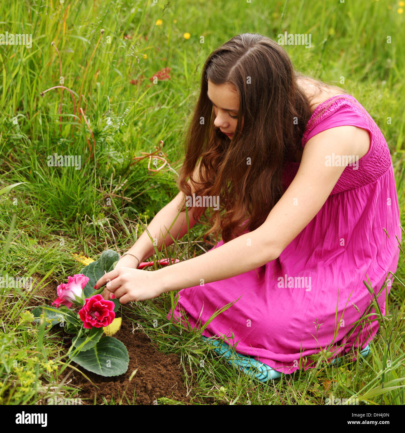 girl grow flower on green field Stock Photo - Alamy