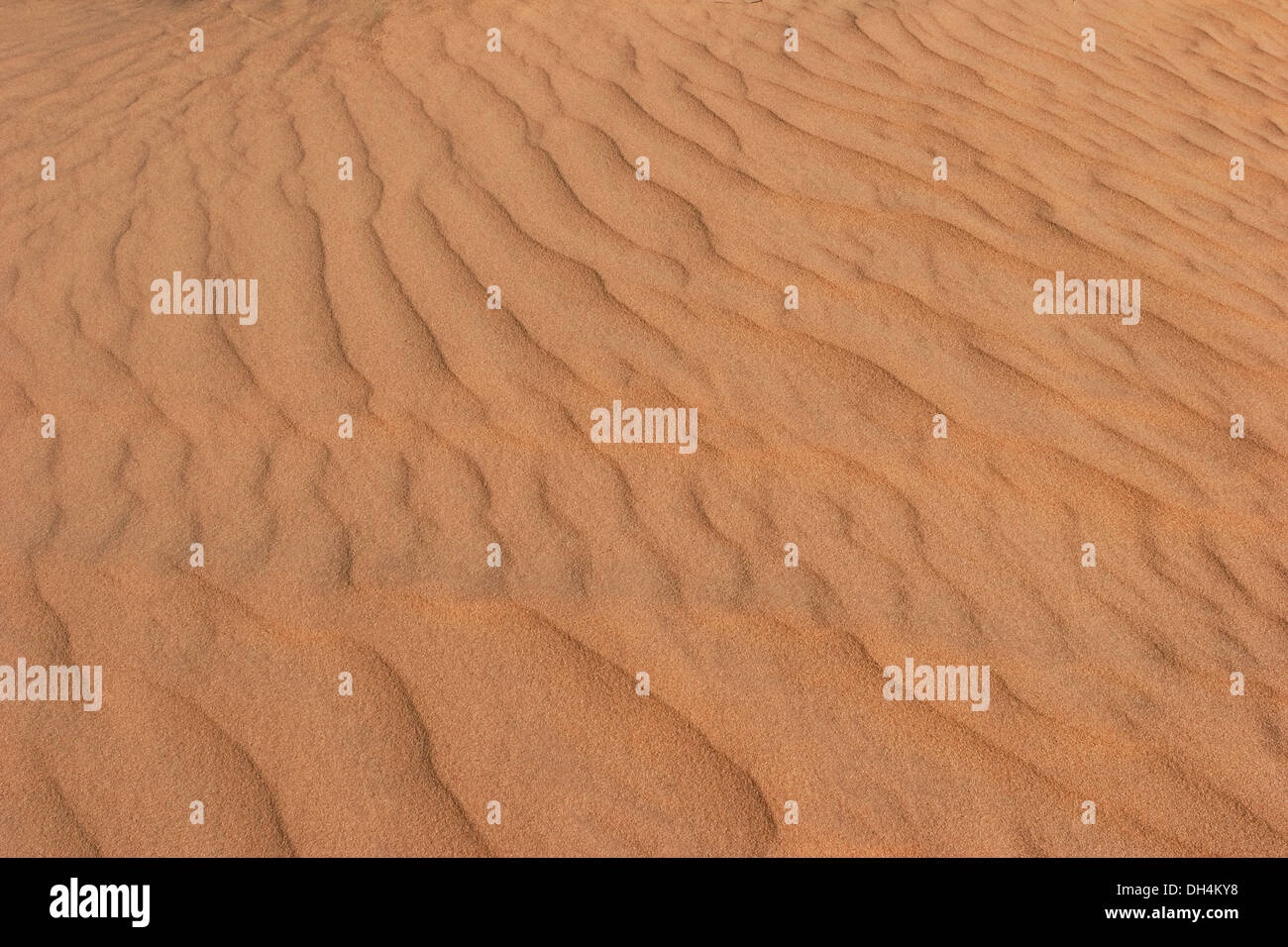 Wind eddy patterns in desert sand Stock Photo - Alamy