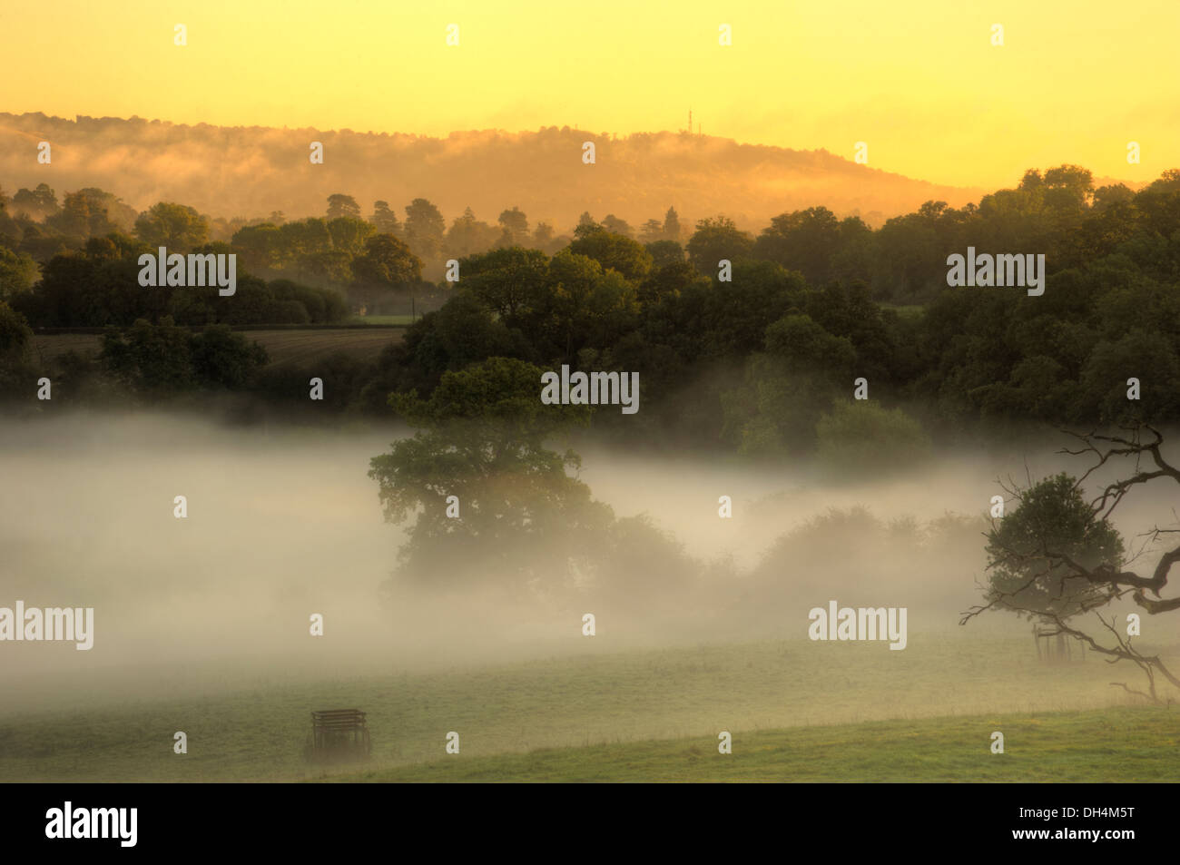 Box hill surrey sunset hi-res stock photography and images - Alamy