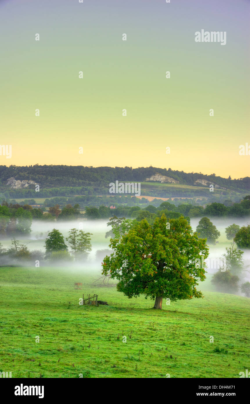 Surrey hills hi-res stock photography and images - Alamy