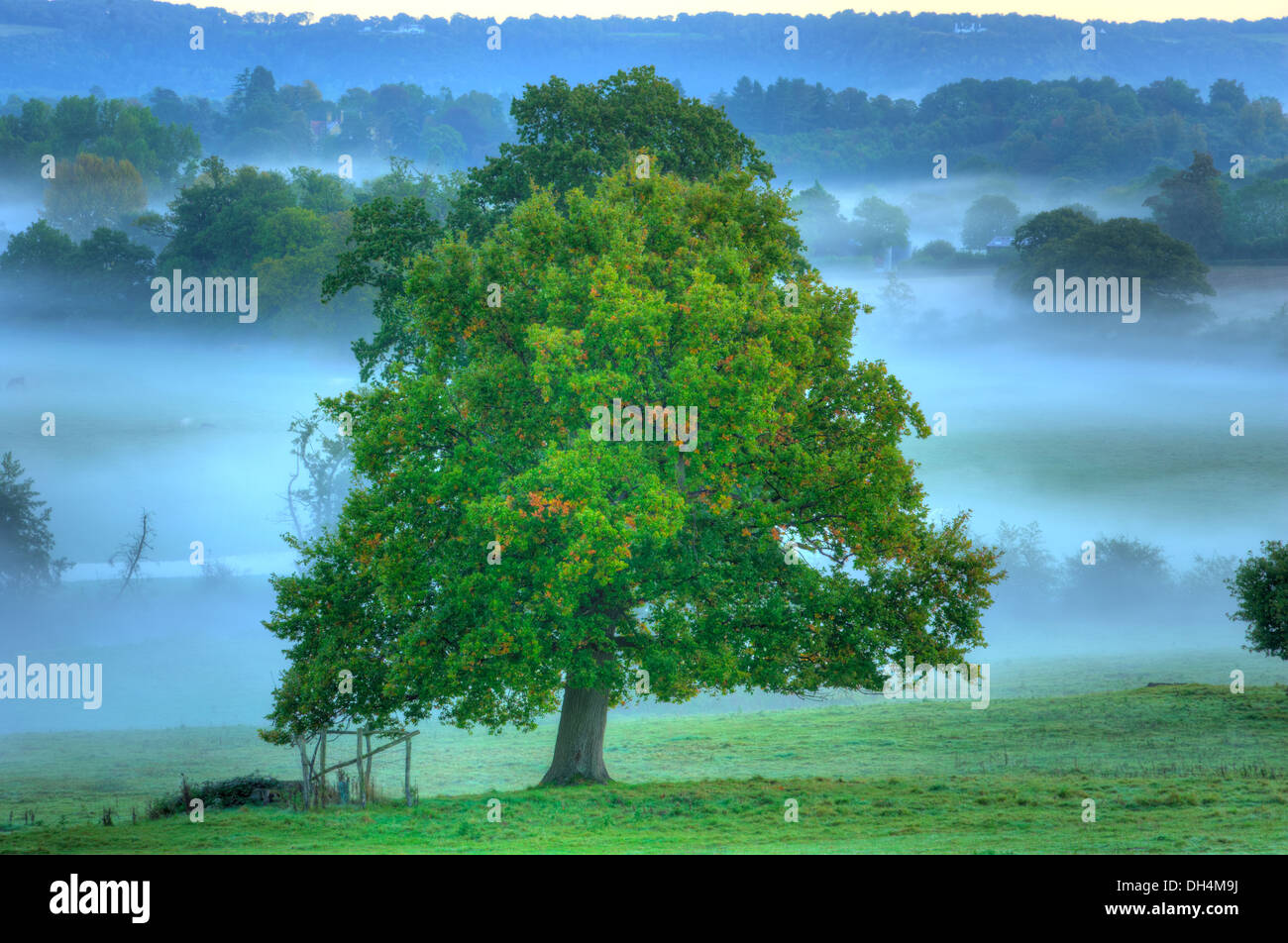 Surrey Hills, Box Hill sunsets Stock Photo - Alamy