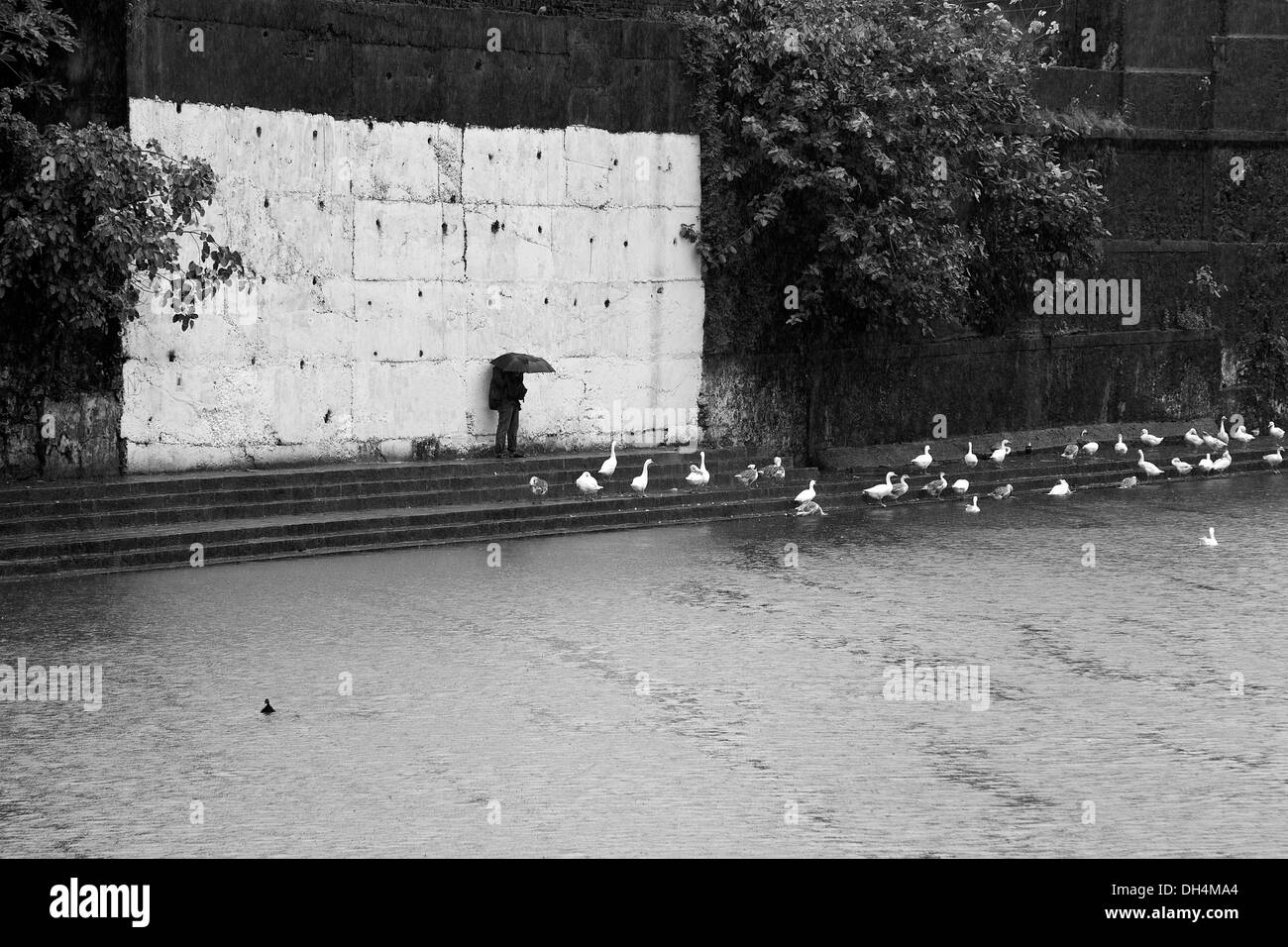 white wall and Banganga water tank ducks Walkeshwar Mumbai Maharashtra ...