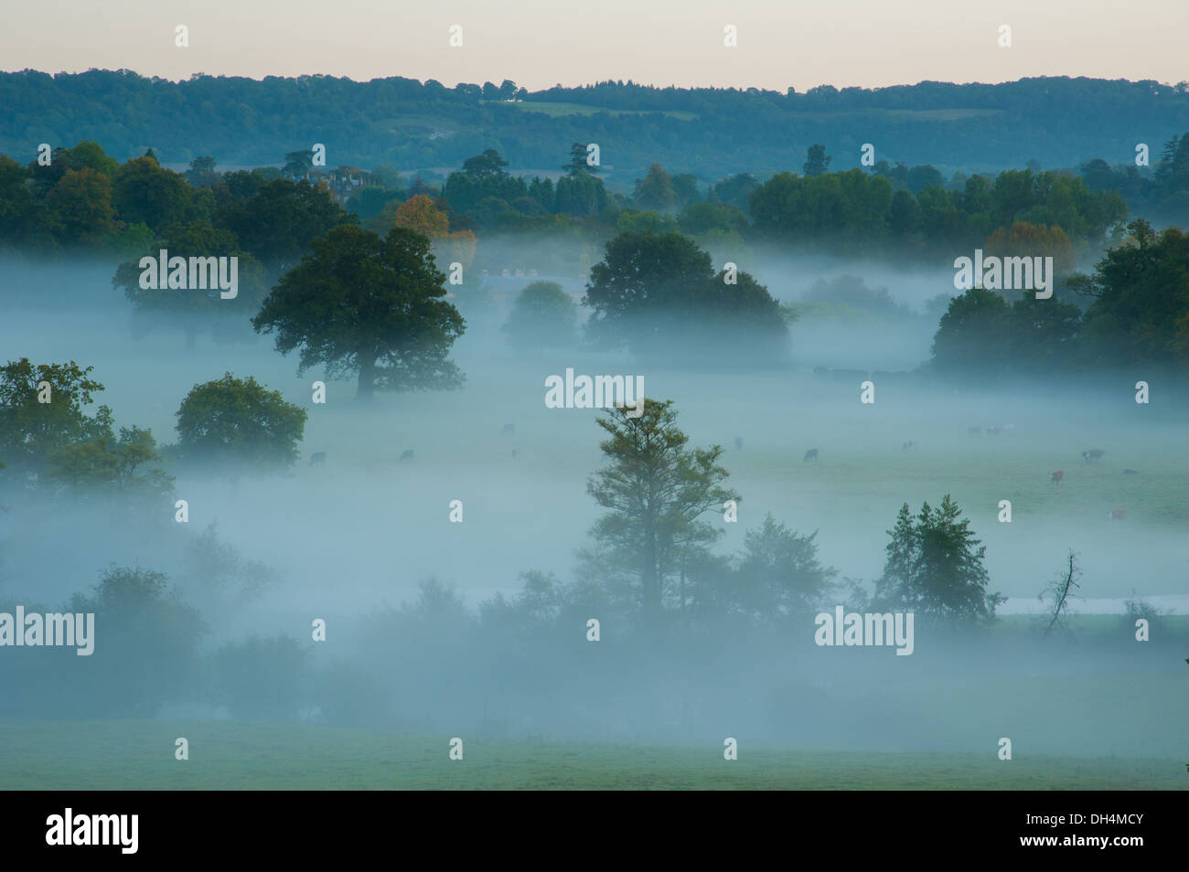 Box hill surrey sunset hi-res stock photography and images - Alamy