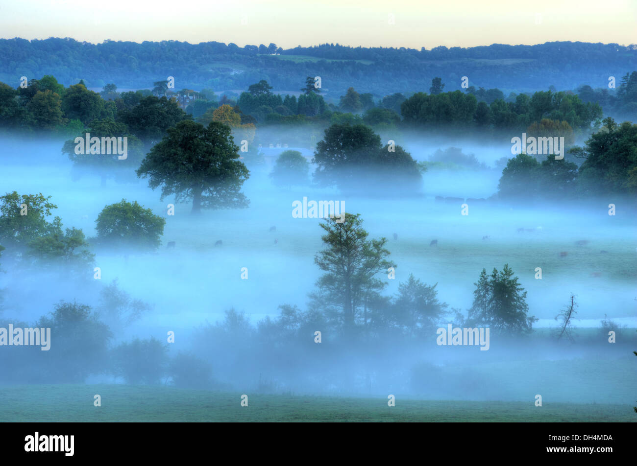 Surrey Hills, Box Hill sunsets Stock Photo - Alamy