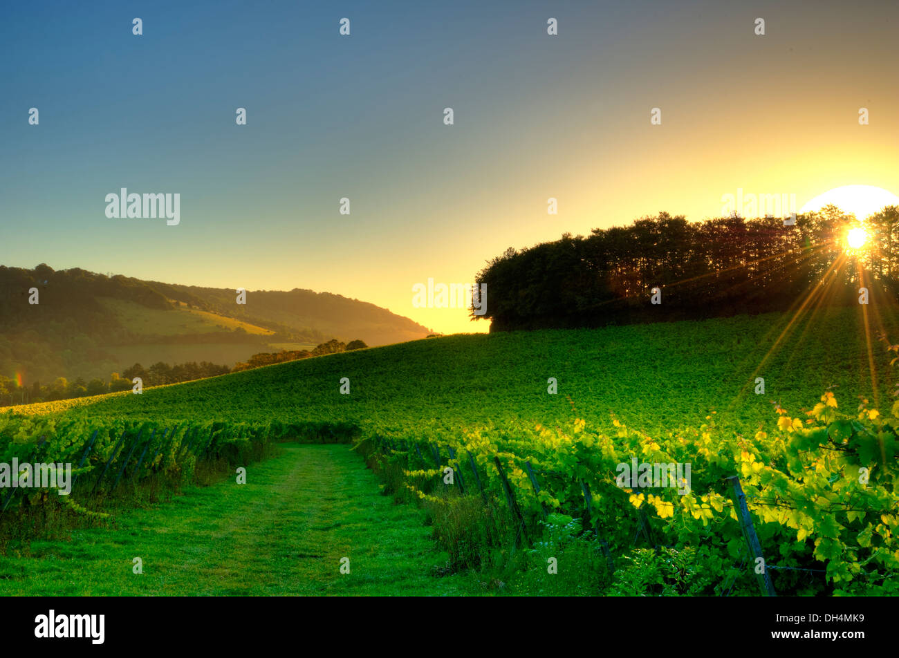 Box hill surrey sunset hi-res stock photography and images - Alamy