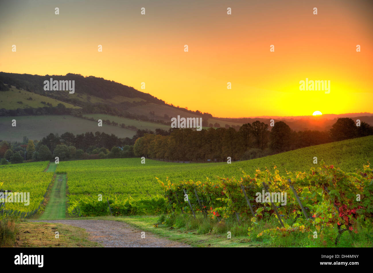 Box hill surrey sunset hi-res stock photography and images - Alamy