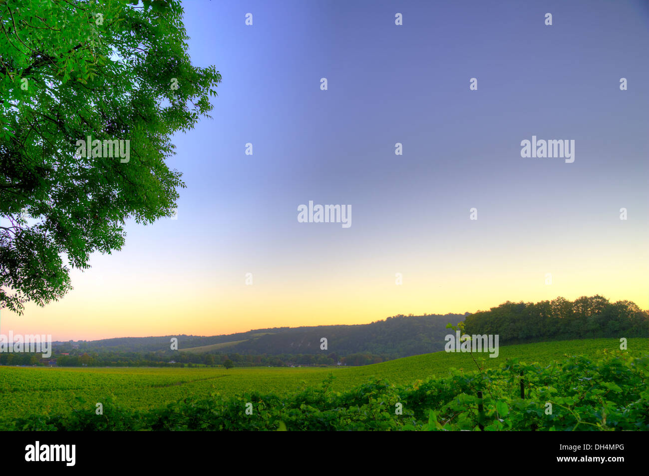 Box hill surrey sunset hi-res stock photography and images - Alamy