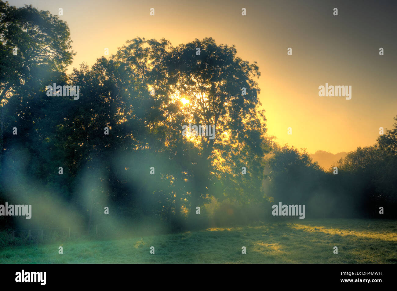 Surrey Hills, Box Hill sunsets Stock Photo - Alamy