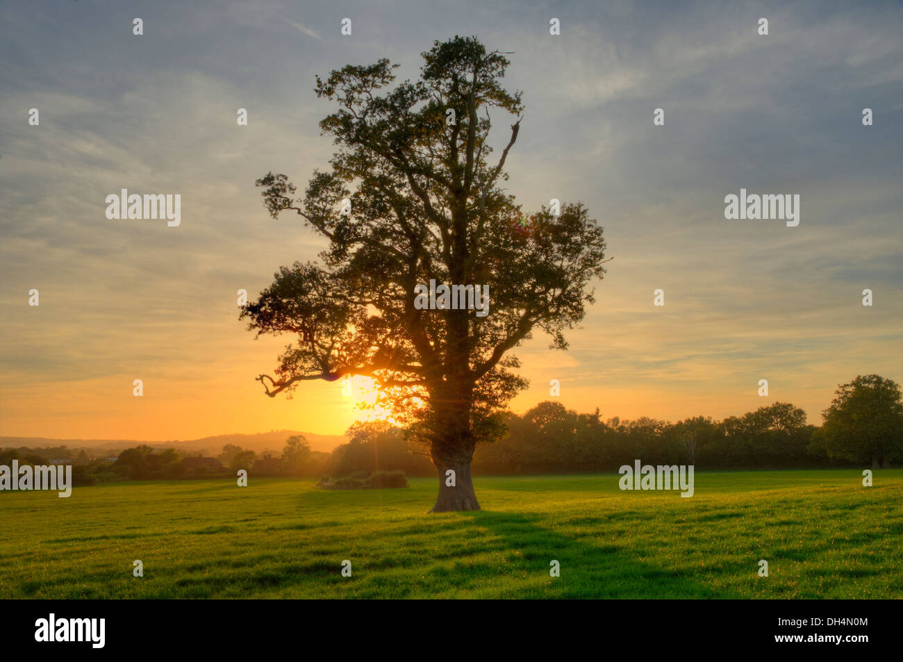 Box hill surrey sunset hi-res stock photography and images - Alamy