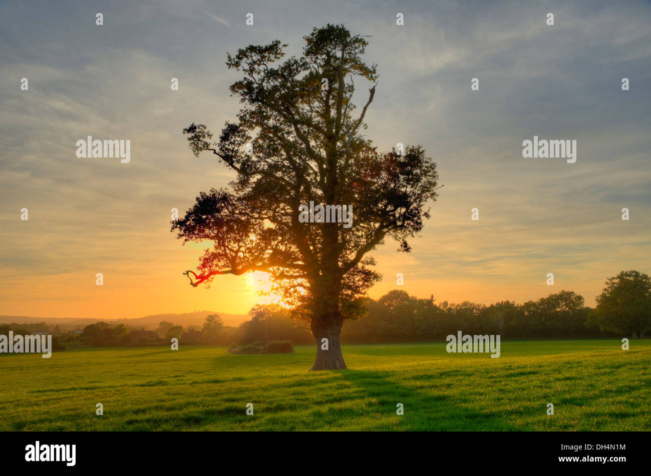 Box hill surrey sunset hi-res stock photography and images - Alamy