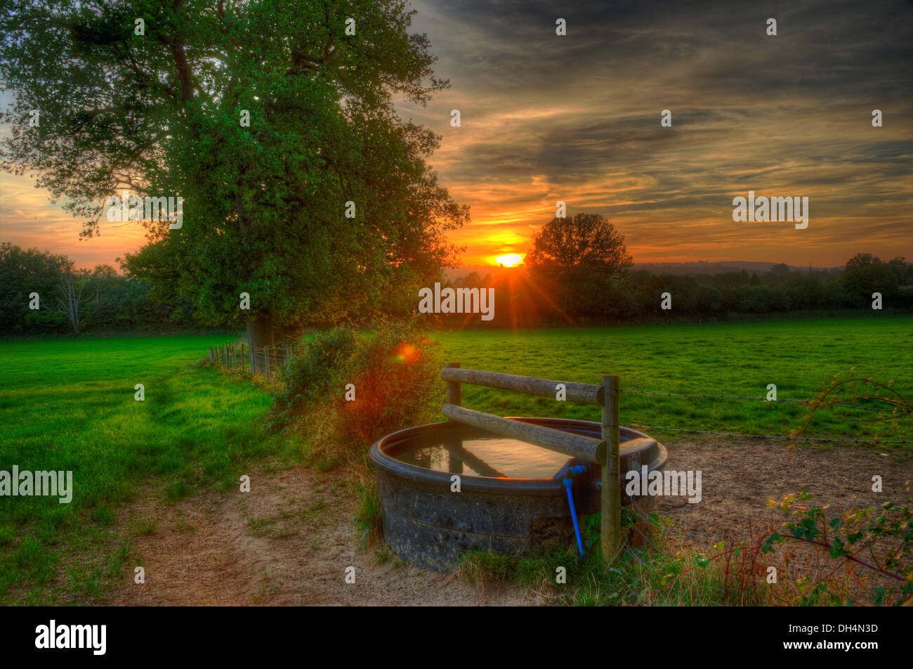 Box hill surrey sunset hi-res stock photography and images - Alamy