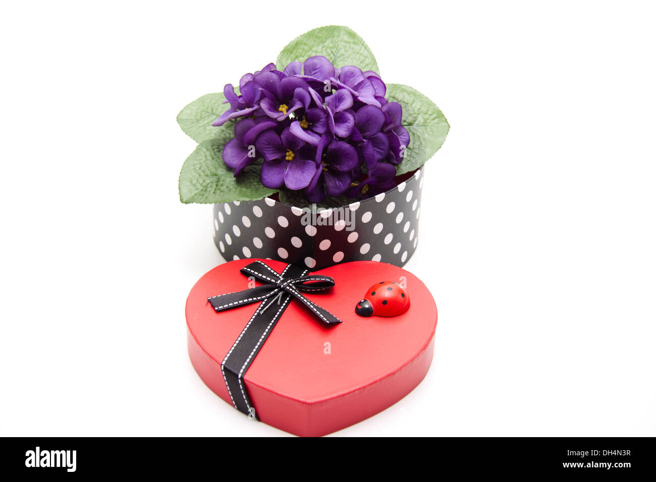 Heart box with beetle Stock Photo - Alamy