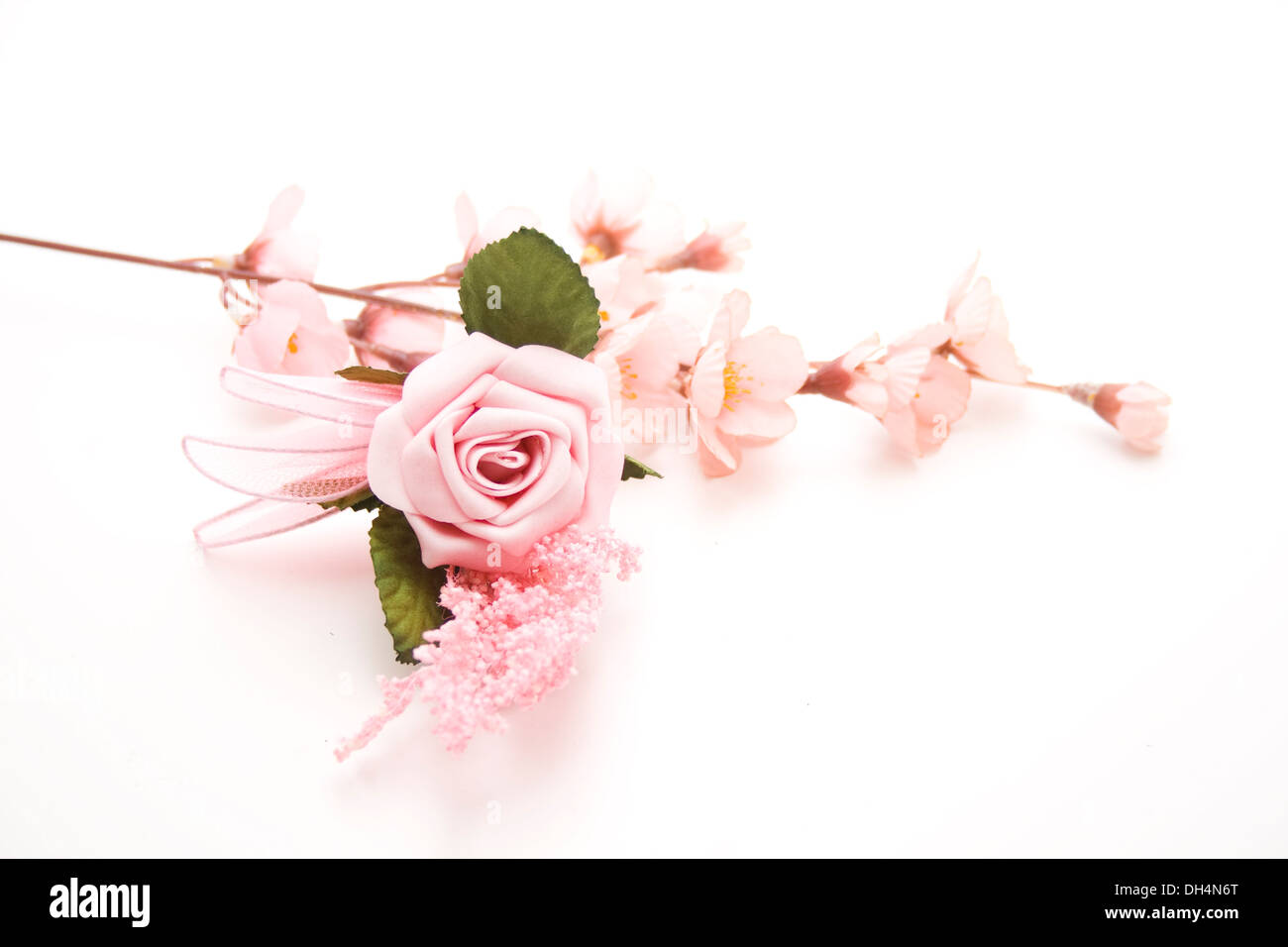 Rose with flowering branch Stock Photo - Alamy